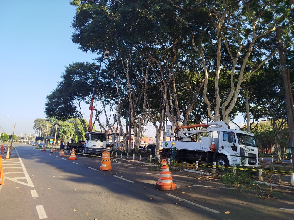 Poda de árvores para prevenção de riscos - Prefeitura Universitária ...